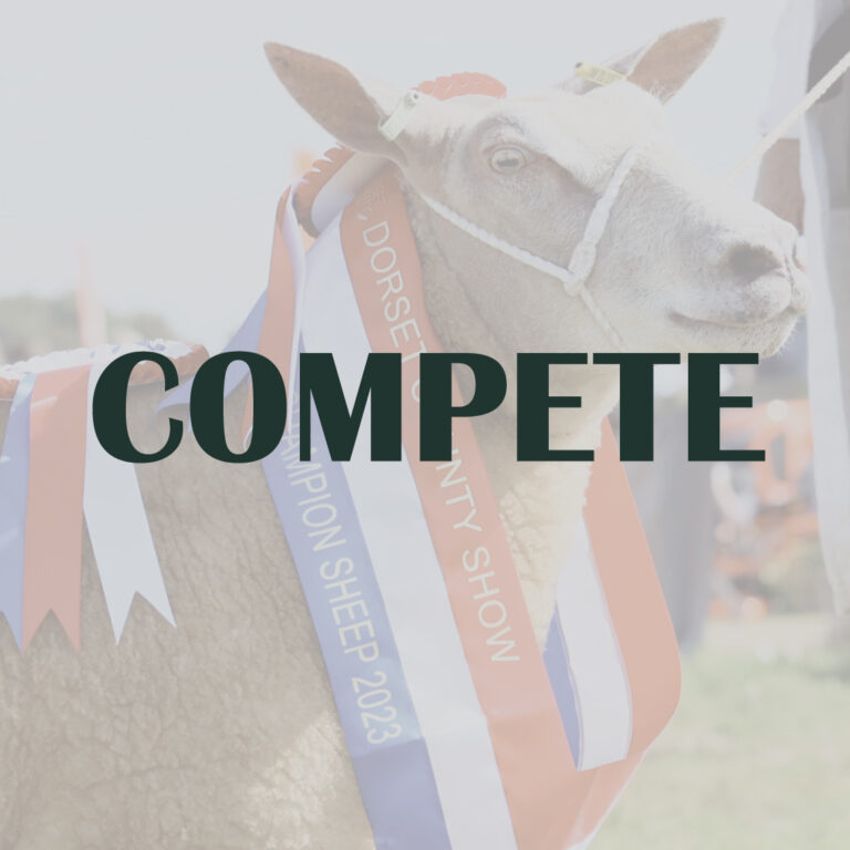 Home - Dorset County Show