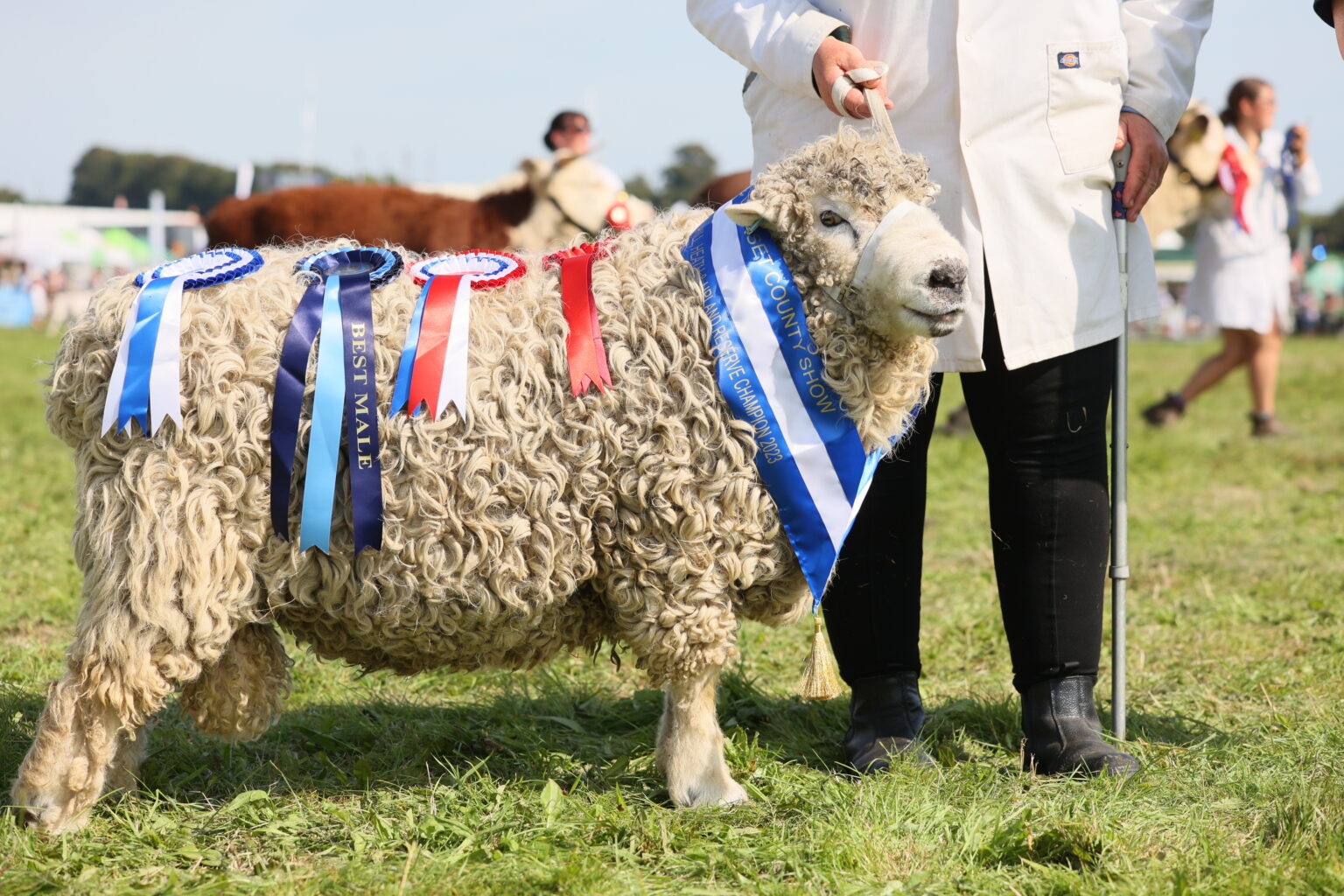 What's on - Dorset County Show