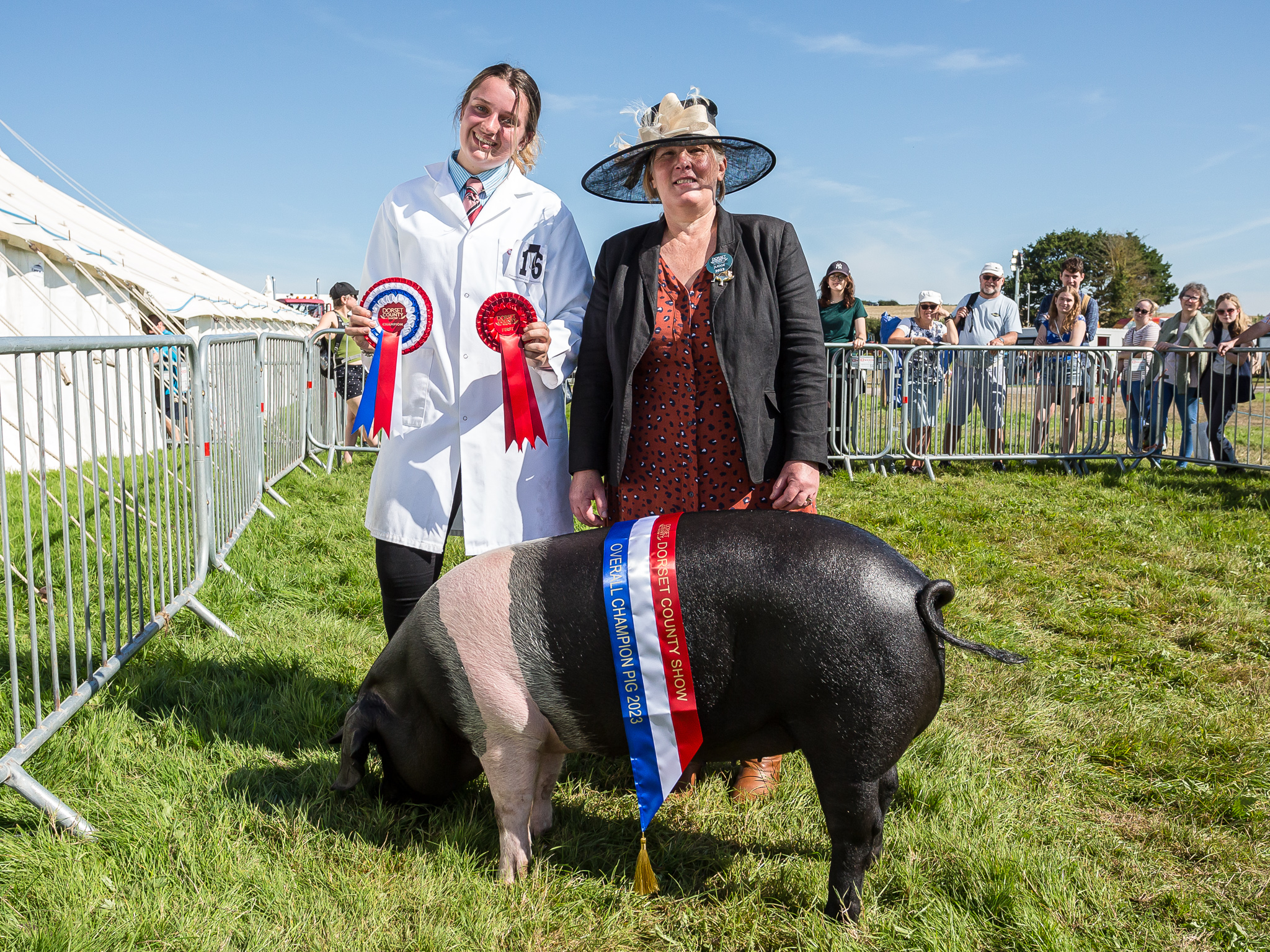 What's on - Dorset County Show