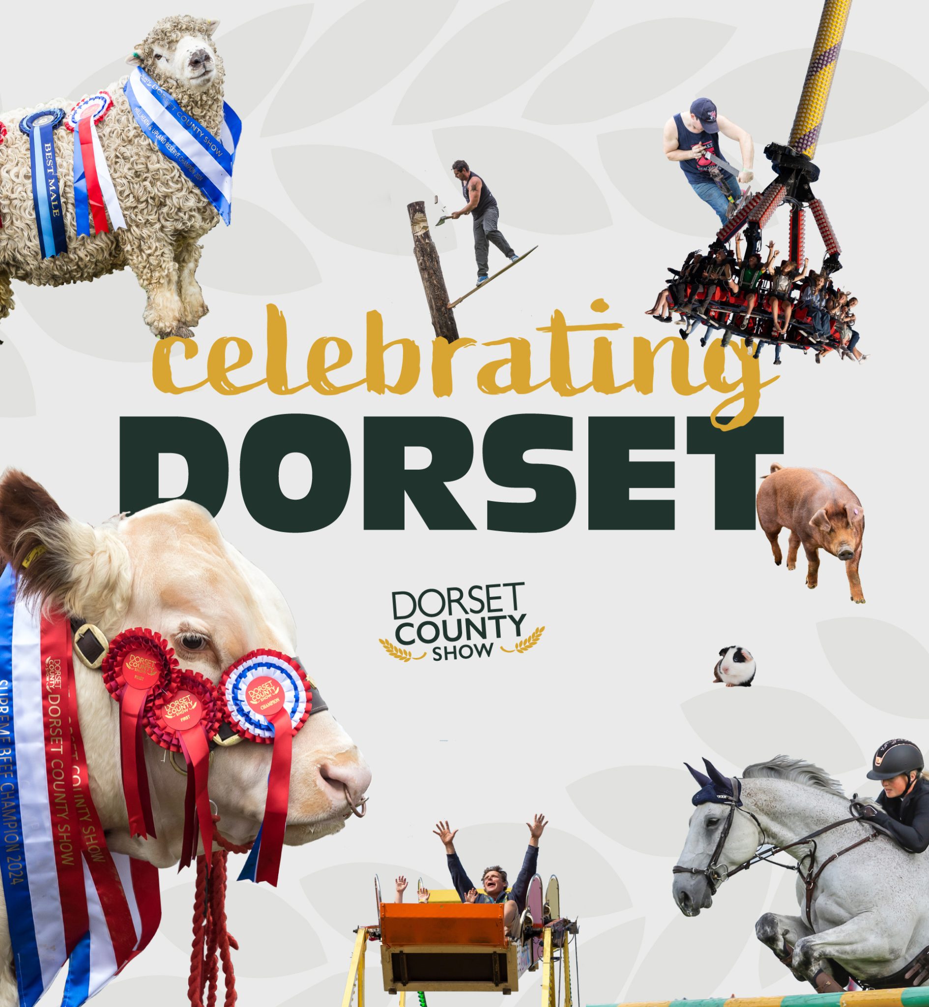 Home - Dorset County Show