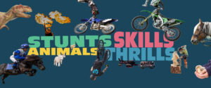 Dorset Spring Show - Dorset County Show
